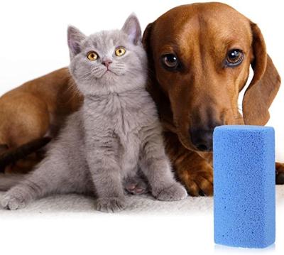 China Natural Pumice Stone Pet Hair Remover 2 Pack for Dog Cat Horse Hair on Furniture Carpet for sale