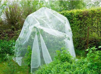 China HDPE Agricultural Anti Insect Net 40-60 Mesh UV Resistant for Vegetable Gardens for sale
