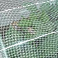China HDPE Anti Insect Net 40 50 Mesh 45g 60g 70g Agricultural Insect Protection Netting for sale