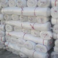 China HDPE Anti Insect Net 40 50 Mesh 45g 60g 70g Agricultural Insect Protection Netting for sale