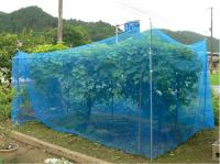 China HDPE Anti Insect Net 40 50 Mesh 45g 60g 70g Agricultural Insect Protection Netting for sale