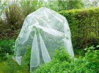 China HDPE Anti Insect Net 40 50 Mesh 45g 60g 70g Agricultural Insect Protection Netting for sale