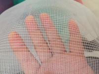 China HDPE Anti Insect Net 40 50 Mesh 45g 60g 70g Agricultural Insect Protection Netting for sale
