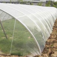 China HDPE Anti Insect Net 40-50 Mesh 125g Greenhouse Insect Proof Netting for Agriculture for sale