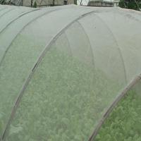 China HDPE Anti Insect Net 40-50 Mesh 125g Greenhouse Insect Proof Netting for Agriculture for sale
