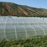 China 100% HDPE raw material agricultural greenhouse insect net for sale