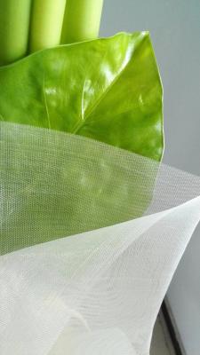China 100% HDPE Agricultural Insect Proof Net 20x10 Mesh Anti Aphid Net for Greenhouse 4m Width for sale