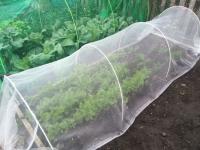 China 40mesh white anti Insect Net for greenhouse for sale