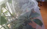 China HDPE Anti Insect Net 40x25 Mesh 110gsm UV Stabilized Greenhouse Insect Protection Netting for sale