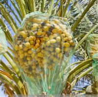China HDPE Date Palm Bag 80x100cm with UV Protection Two Sides Open Drawstring for sale