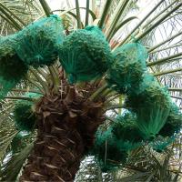 China HDPE Date Palm Bag 80x100cm with UV Protection Two Sides Open Drawstring for sale