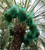 China HDPE Date Palm Bag 80x100cm with UV Protection Two Sides Open Drawstring for sale