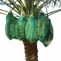 China date mesh bag supplier - anqing kason Imp. & Exp Co., ltd for sale