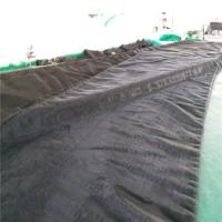 China HDPE Date Palm Mesh Bag 80x100cm with UV Protection for Bird and Insect Control for sale