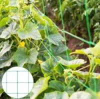 China HDPE Plant Support Trellis Netting 150x170mm Mesh 1.5m Width for Climbing Vegetables for sale