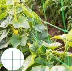China HDPE Plant Support Trellis Netting 150x170mm Mesh 1.5m Width for Climbing Vegetables for sale