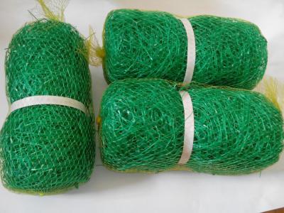 China HDPE Extruded Pea Netting 8G/M2 10G/M2 Vegetable Climbing Plant Support Trellis Net for sale