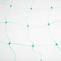 China Plant Climbing & Plant Trellis Netting, Creeper Plant Support Net, White Colour for sale