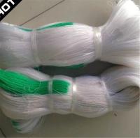 China UV Stabilized PP Trellis Netting 100x100mm Mesh 1.5m Width Plant Support for sale