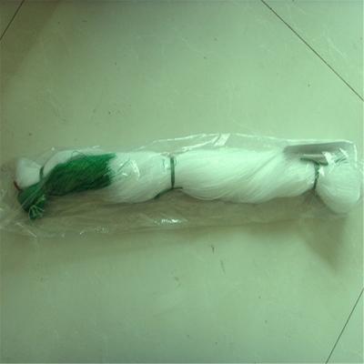China UV Stabilized PP Trellis Netting 150x170mm Mesh 1.5m Width for Climbing Plants for sale