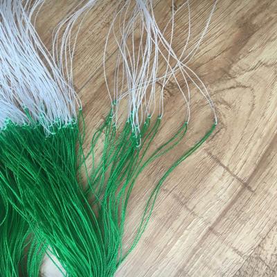 China UV Stabilized PP Trellis Netting 1m x 100m 150x170mm Mesh for Climbing Plants for sale