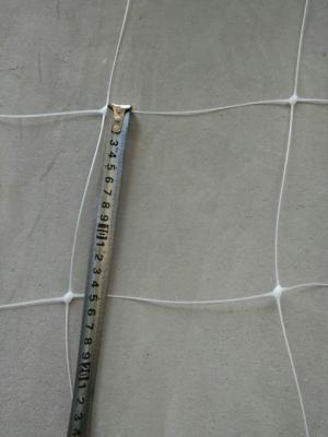 China HDPE Plant Climbing Trellis Netting UV Stabilized 150x170mm Mesh 1.5m Width for sale