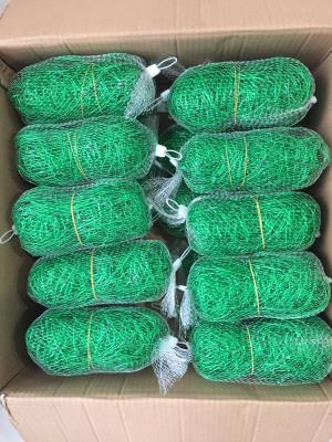 China PP UV Stabilized Plant Trellis Netting 150x170mm Mesh 1m Width for Climbing Vegetables for sale
