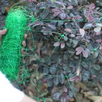 China Netting Garden Durable Nylon Trellis Net Support Climbing Plant Vine Support for sale