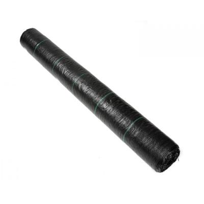 China PP Woven Weed Barrier Fabric 100gsm Ground Cover for Garden Orchard Weed Control 2m Width for sale