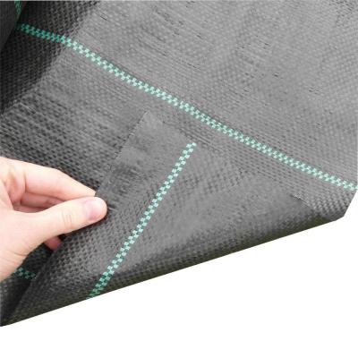 China 2m PP Weed Mat/weed Control Fabric Weed Mat Ground Cover for sale