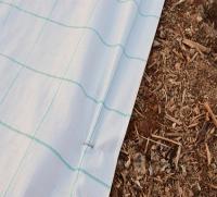 China 100% Virgin PP PE Black Weed Control Mat Anti-Grass Ground Cover Roll 70-130gsm 0.5-5.25m Width for sale