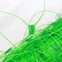 China PP UV Stabilized Plant Trellis Netting 100x100mm Mesh 1.5m Width for Climbing Vegetables for sale