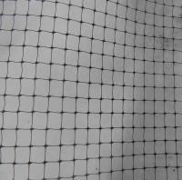 China Plastic Deer Fence Netting Garden Mesh Fencing 1.2m Height 20x20mm Mesh for sale