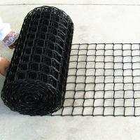 China Plastic Grids for Garden Protection Square Mesh 2x2mm to 50x50mm 30m 50m Rolls for sale