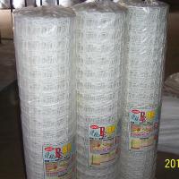 China Plastic Grids for Garden Protection Square Mesh 2x2mm to 50x50mm 30m 50m Rolls for sale