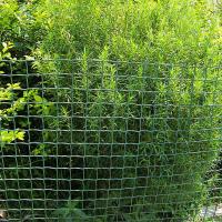 China Plastic Grids for Garden Protection Square Mesh 2x2mm to 50x50mm 30m 50m Rolls for sale