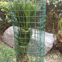 China HDPE Plastic Garden Mesh Fence 4ft x 50ft Orange Safety Netting 20mm Square Hole for sale