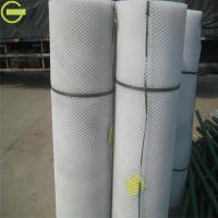 China HDPE Plastic Flat Breed Mesh Net for Poultry 4ft x 50ft 20mm Hole for sale