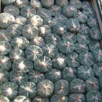 China garden shade cloth- shade netting for sale