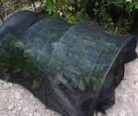 China Windbreak and Shade Netting for Gardening for sale