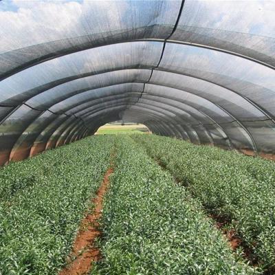 China Shade Cloth - Shade Fabric - Roll, Linear Yard - Custom for sale