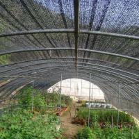 China Netting & Shade Cloth - Shade Cloth for sale