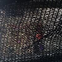 China HDPE Monofilament Shade Netting 6 Needles UV Stabilized Greenhouse Shade Cloth for sale