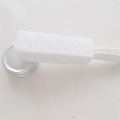 China Pumice Toilet Bowl Cleaner/Ring Remover with Handle for sale