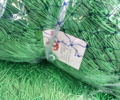 China Nylon 210D 30 Ply Green Multifilament Fishing Net for Thailand Export for sale