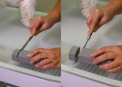 China Remove Pet Hair from Fabric with a Pumice Stone for sale