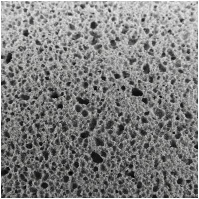 China Bathroom Stone Cleaning Block Pumice Stone 100g for Kitchen Grill Rust Remover for sale