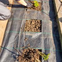China PP Woven Weed Barrier Fabric 6x300ft 100GSM Black Landscape Ground Cover UV Resistant 1800sqft for sale