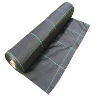 China PP Woven Weed Control Fabric Membrane 1x10m with 10 Garden Pegs and Buffer Washer Landscape Weed Barrier Mat for sale