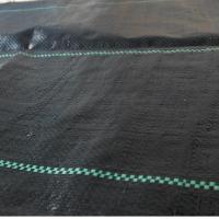 China PP Woven Weed Barrier Fabric 70-130gsm 1x10m Roll Ground Cover for Garden Orchard Weed Control for sale